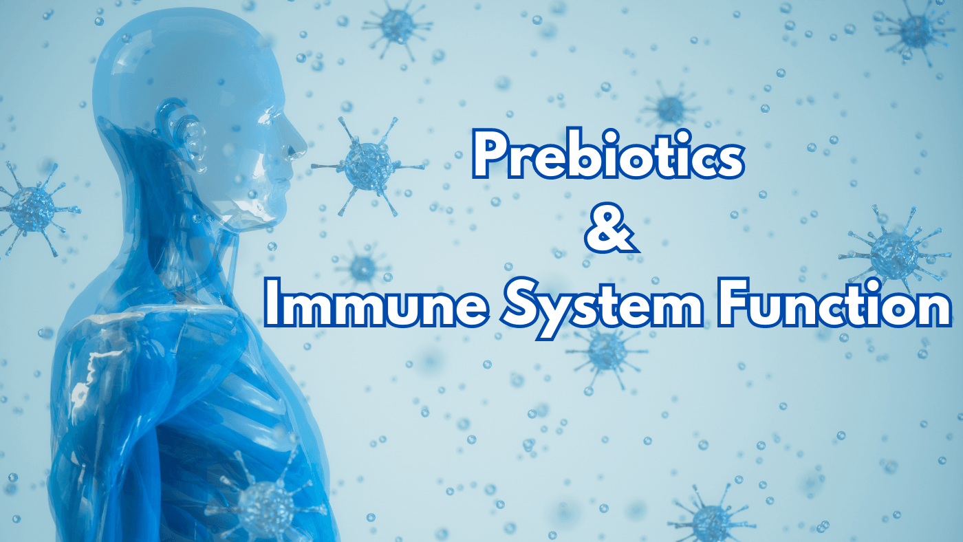 Prebiotics & Immune System Function – ió Gut Health Drink